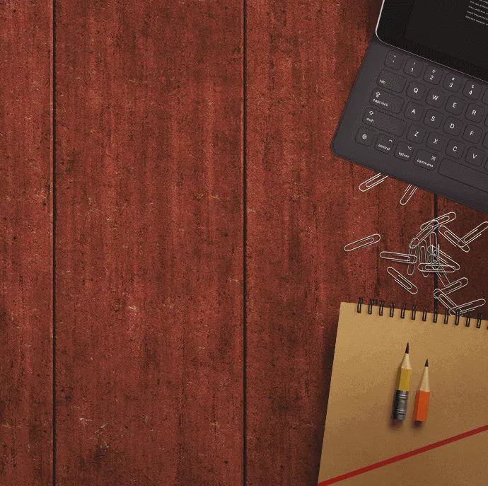 Modèle de CV assistante sociale (2024)